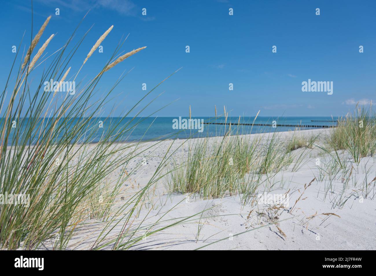Beach idyll in summer Stock Photo - Alamy
