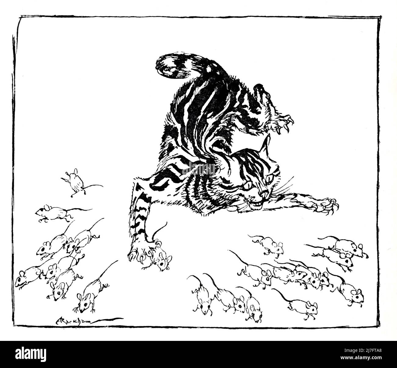 Arthur rackham cat Cut Out Stock Images & Pictures - Alamy