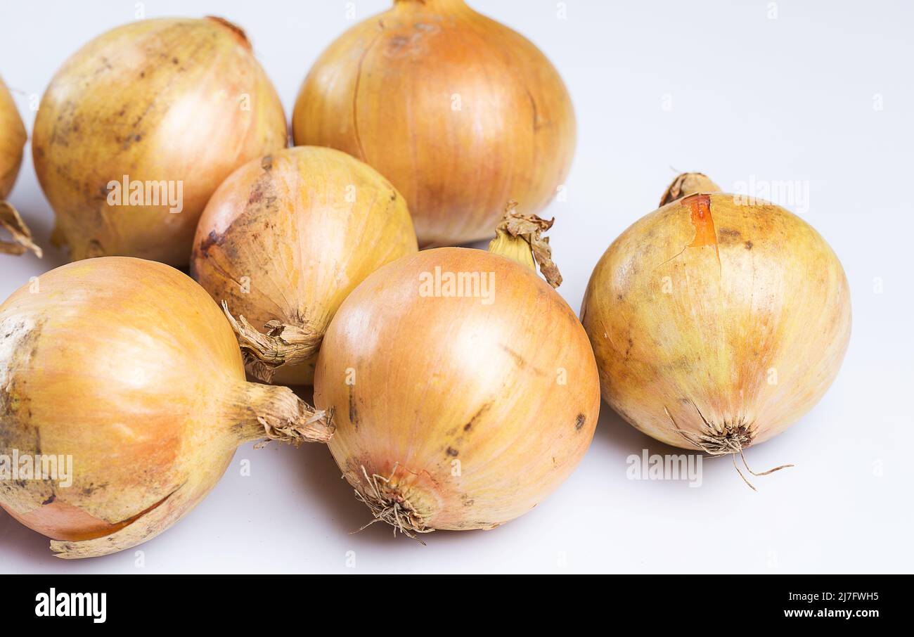 A lot of fresh natural onion over white background Stock Photo - Alamy
