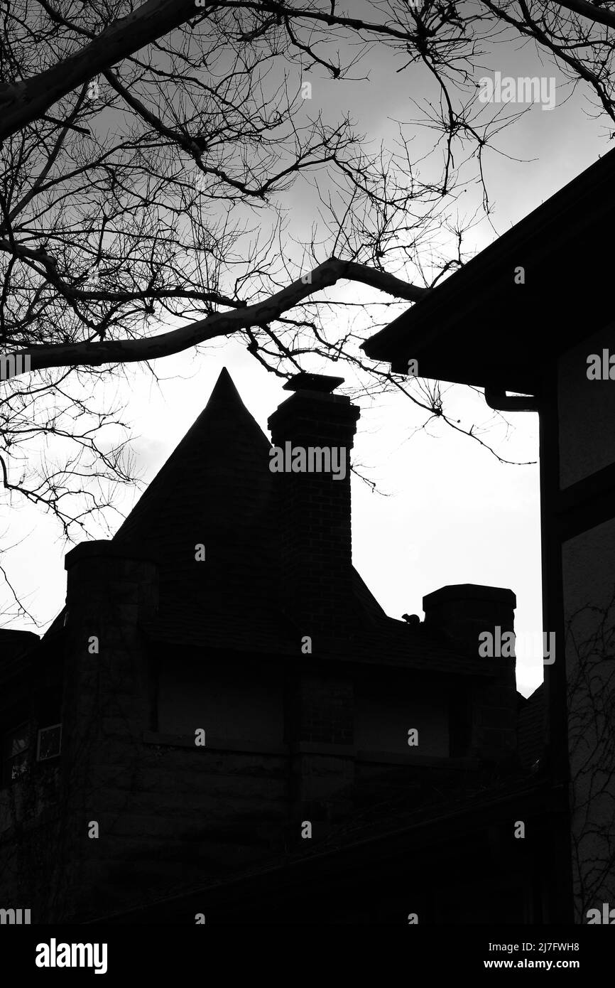 Chimney with architectural detail Black and White Stock Photos & Images ...