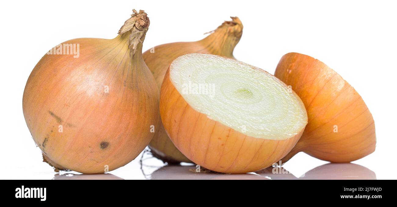 Closeup of fresh natural onion over white background Stock Photo - Alamy