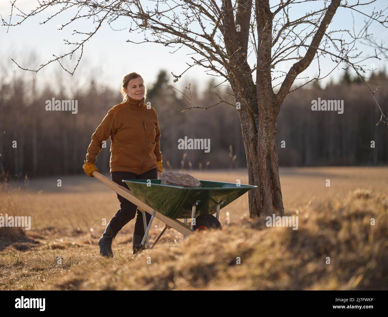 Woman pushing wheelbarrow in field Stock Photo - Alamy