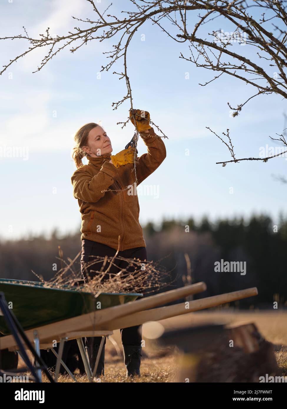 Woman cutting tree hi-res stock photography and images - Alamy