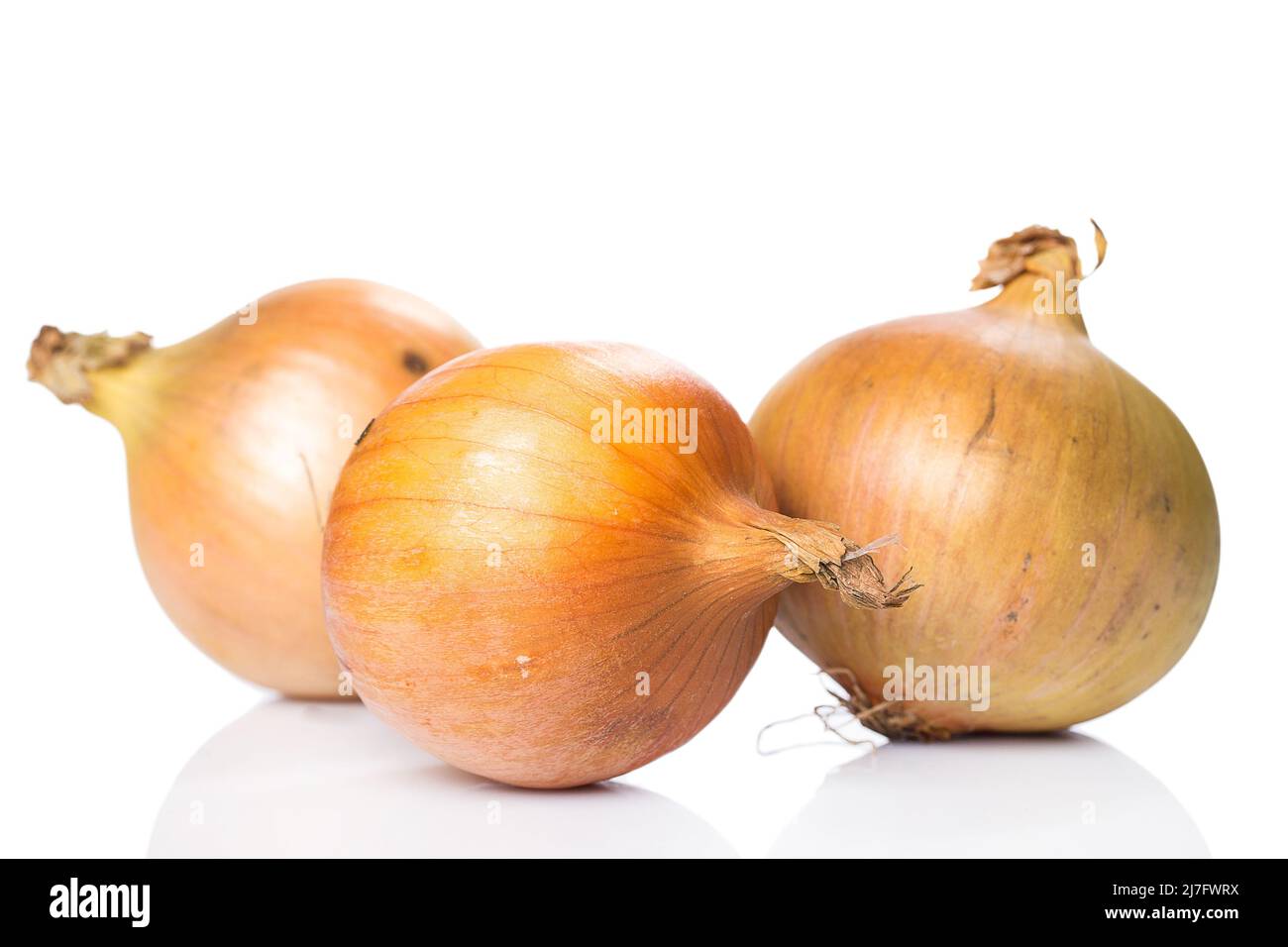 Closeup of fresh natural onion over white background Stock Photo - Alamy