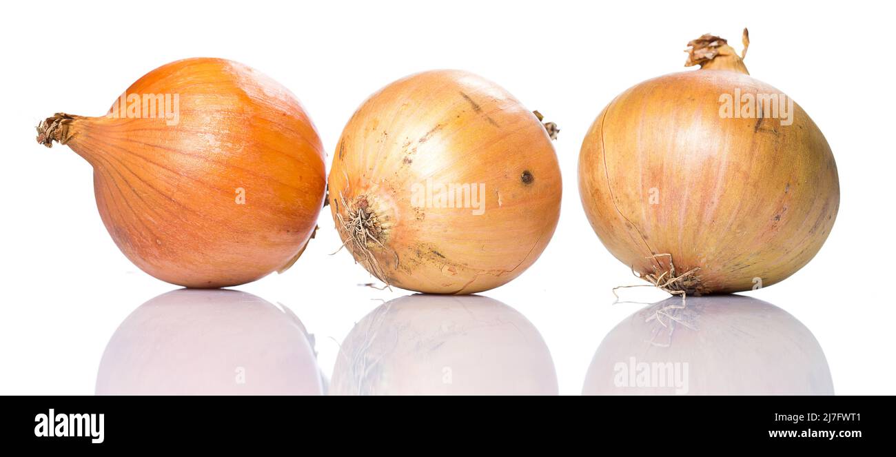 Closeup of fresh natural onion over white background Stock Photo - Alamy