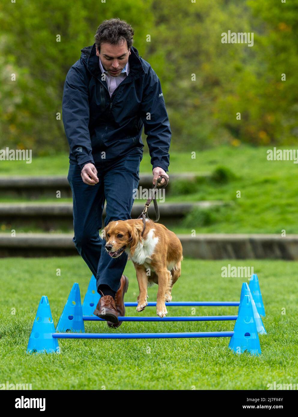Maurice golden dog hi-res stock photography and images - Alamy