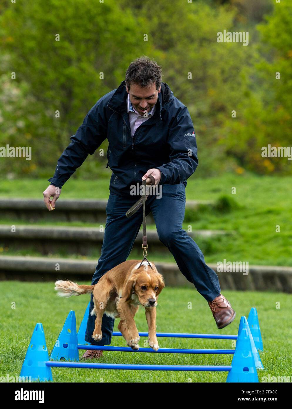Maurice golden dog hi-res stock photography and images - Alamy