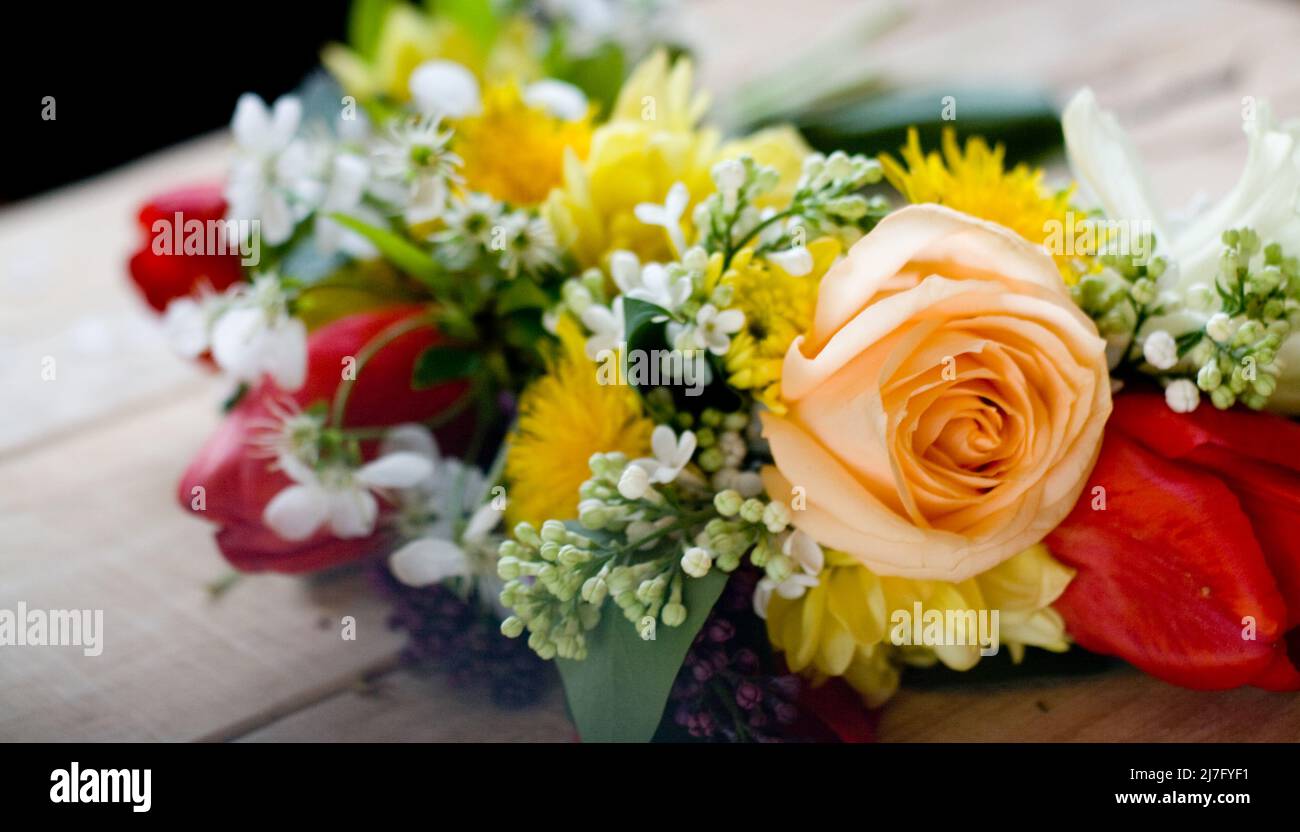 Bouquet of colorful spring flowers lying on the unpainted wooden ...