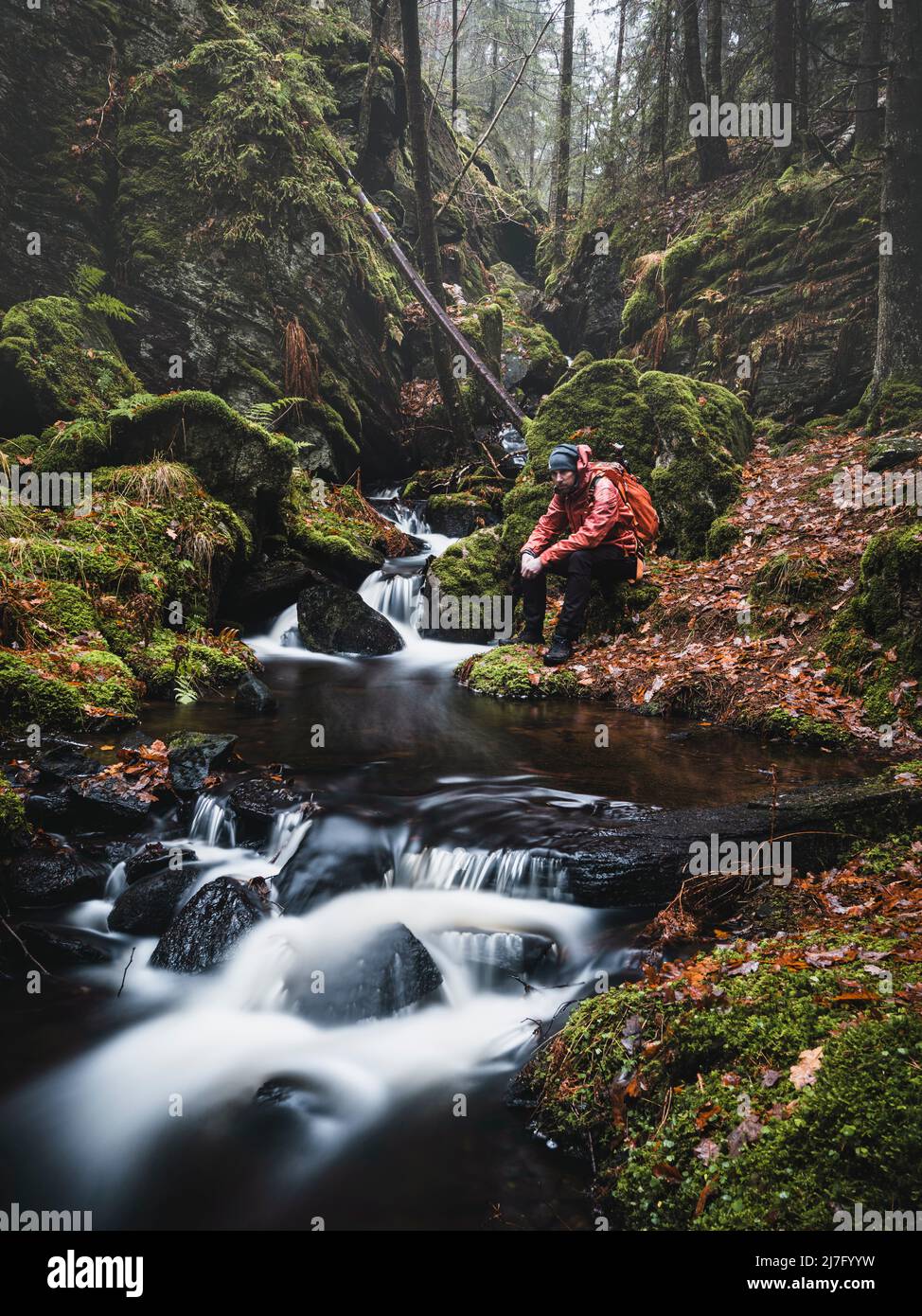 Hiker sitting by stream in forest Stock Photo - Alamy