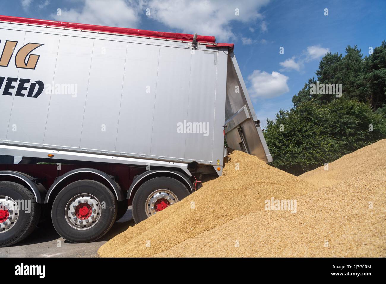 Seed merchants hi-res stock photography and images - Alamy