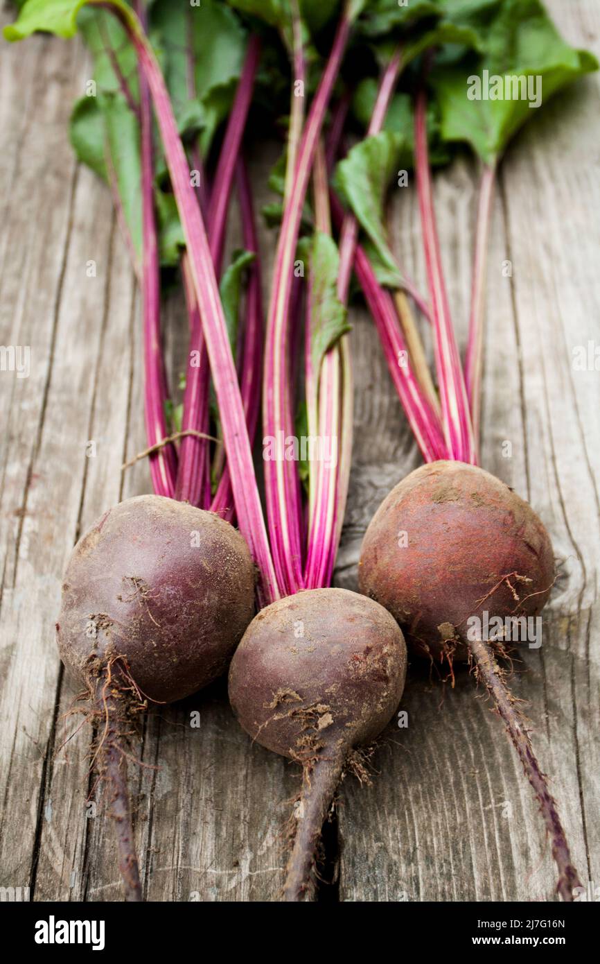 Organic red beet with green leaves on an old wooden background. Copy ...