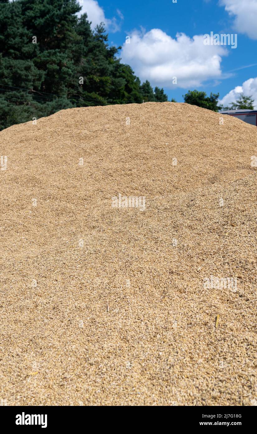 Grain storage uk hi-res stock photography and images - Alamy