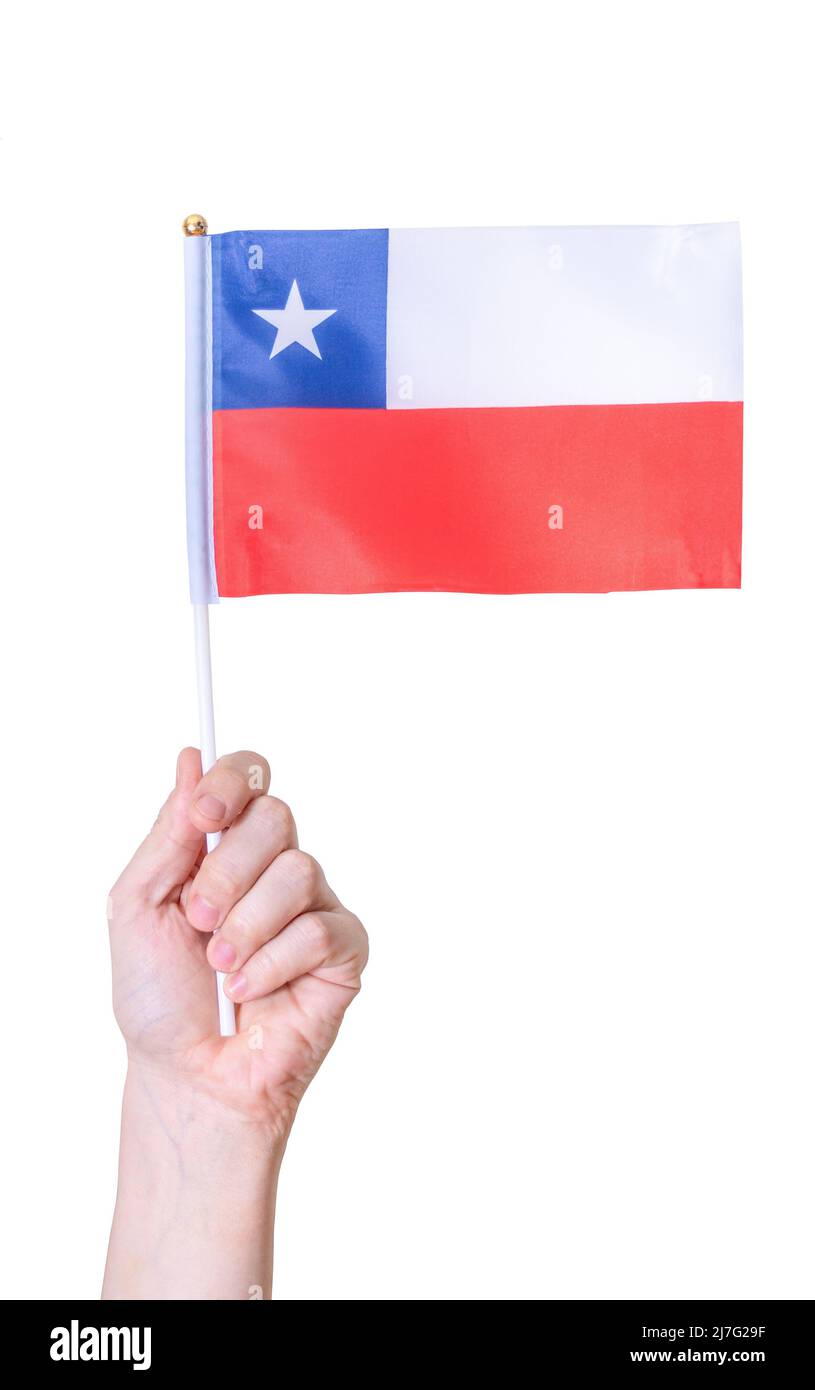 Hand holding the flag The flag of the country of Chile on a white ...