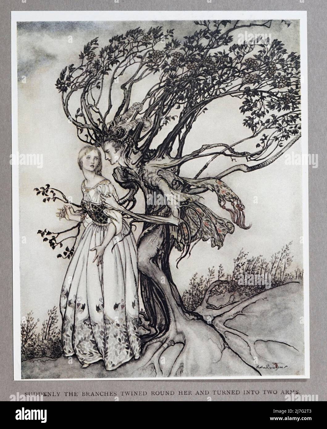 Suddenly the branches twined round her and turned into two arms from ...