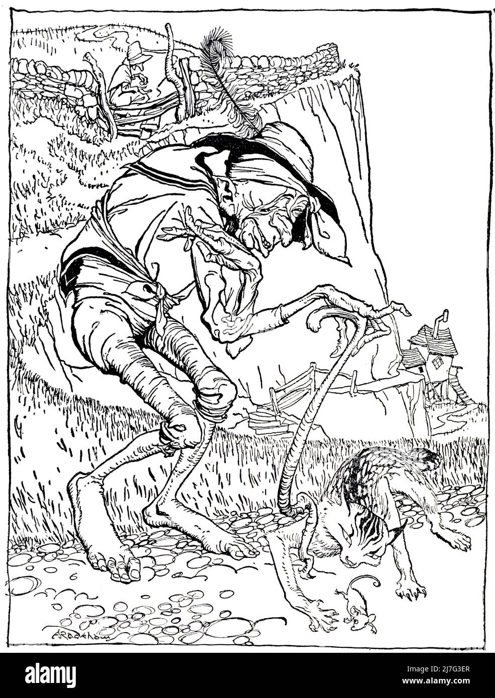 He bought a crooked cat hi-res stock photography and images - Alamy