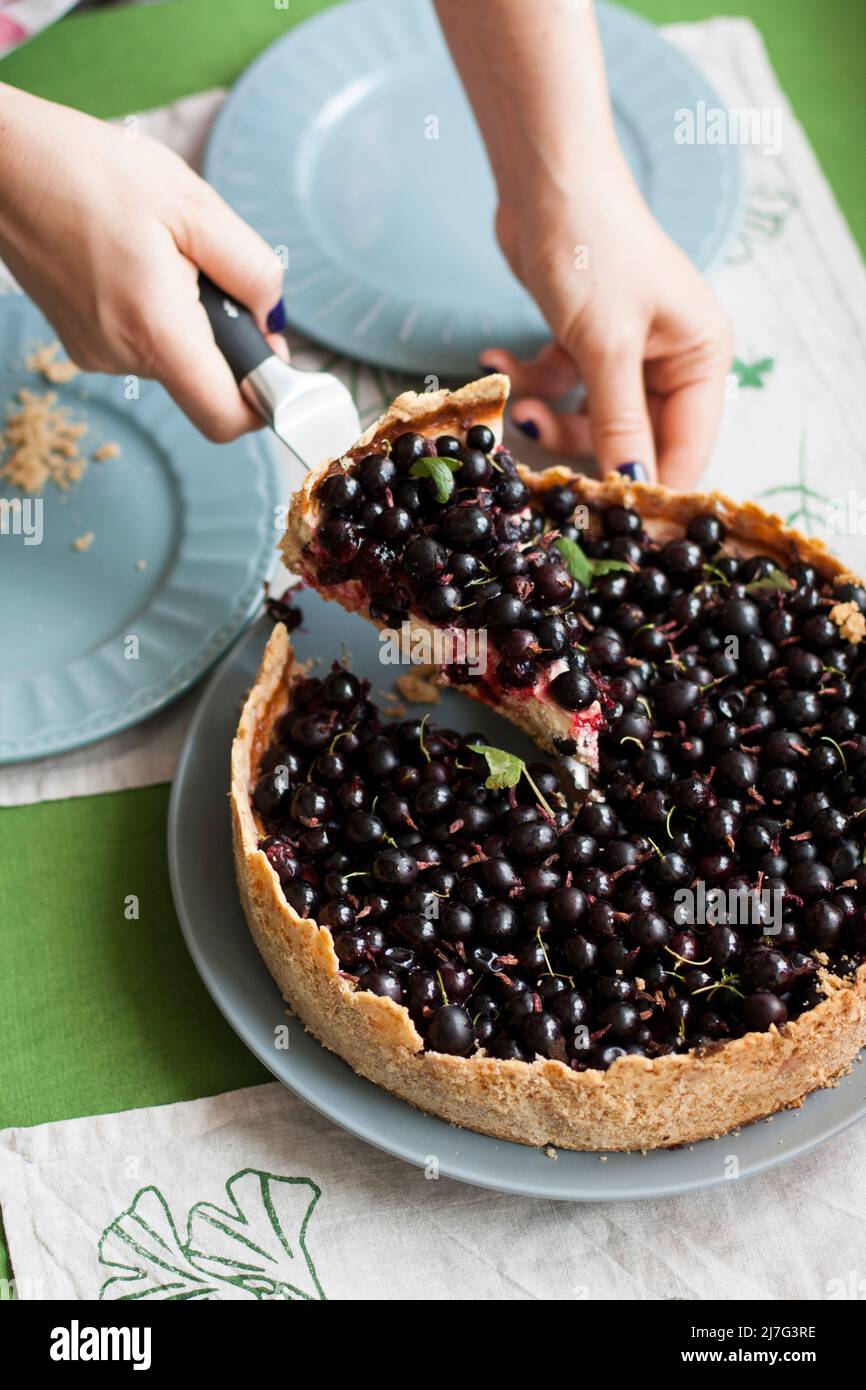 Berry sand pie: the girl slicing the cake and spreads the pieces on the ...