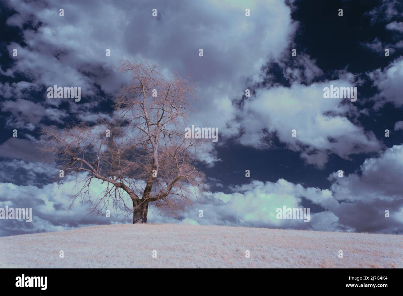 infrared photography - ir photo of landscape under sky with clouds ...
