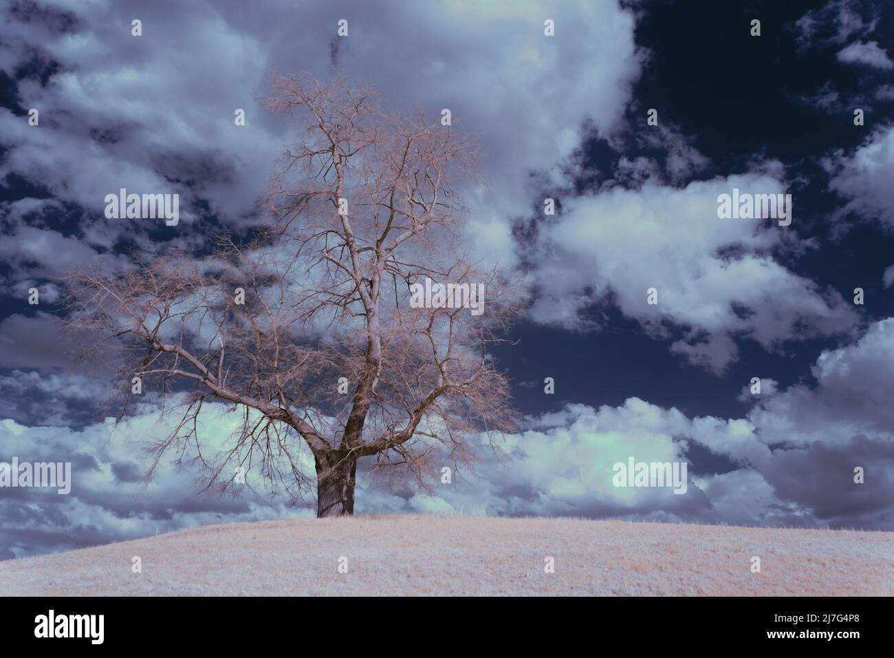 infrared photography - ir photo of landscape under sky with clouds ...