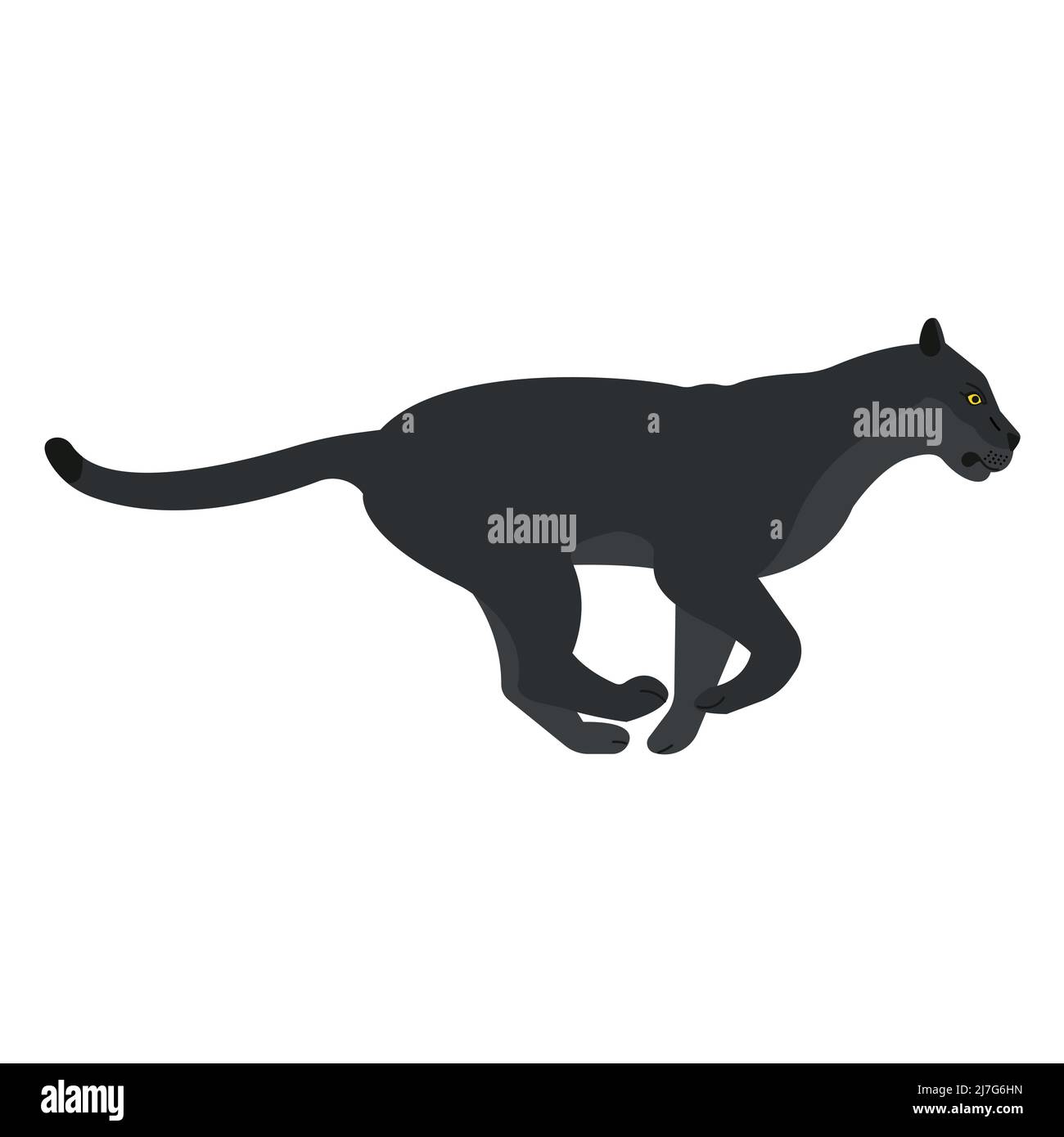 Vector flat running panther isolated on white background Stock Vector ...