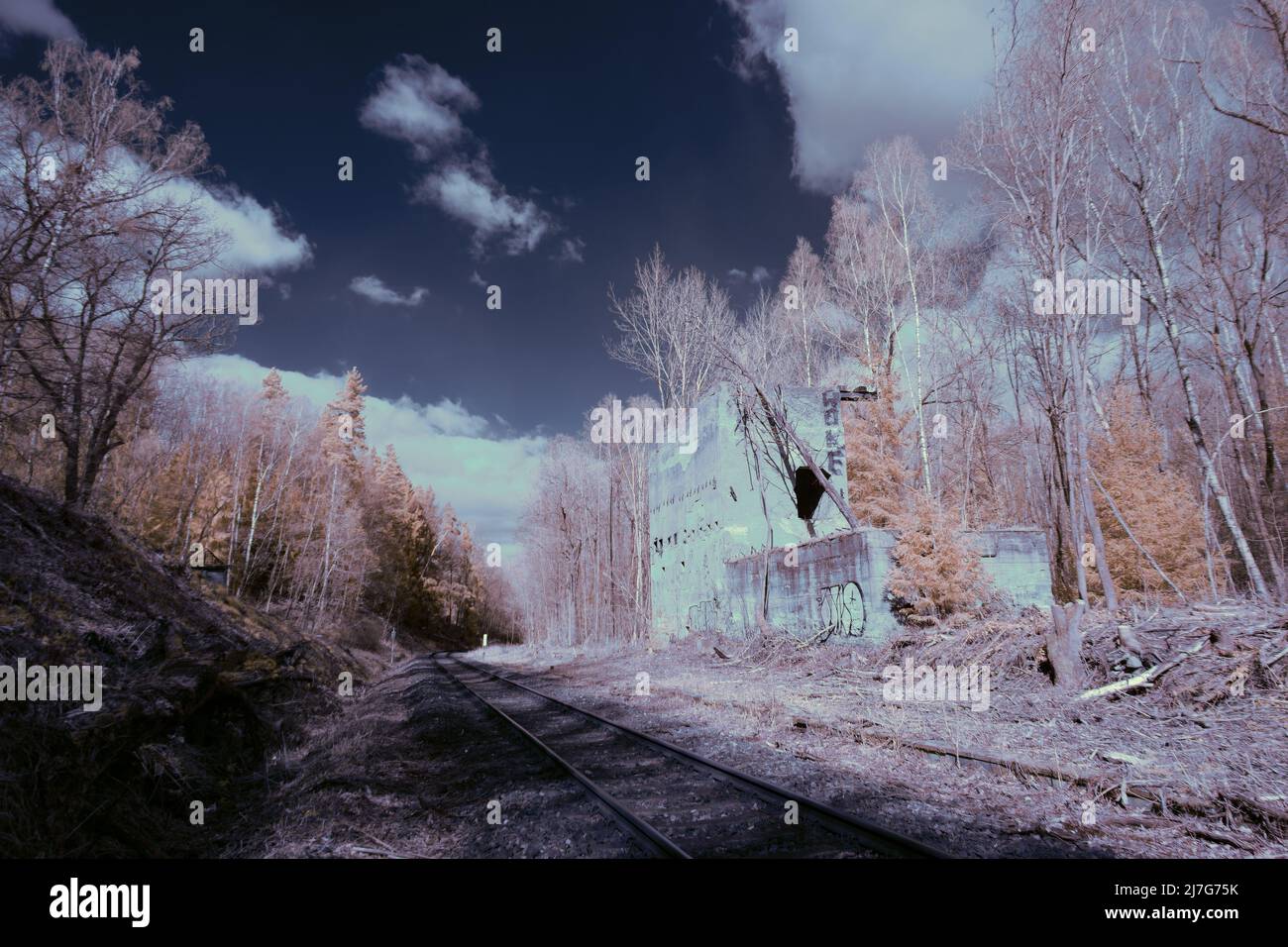 Infrared landscape with glowing white vegetation using 720nm filter ...