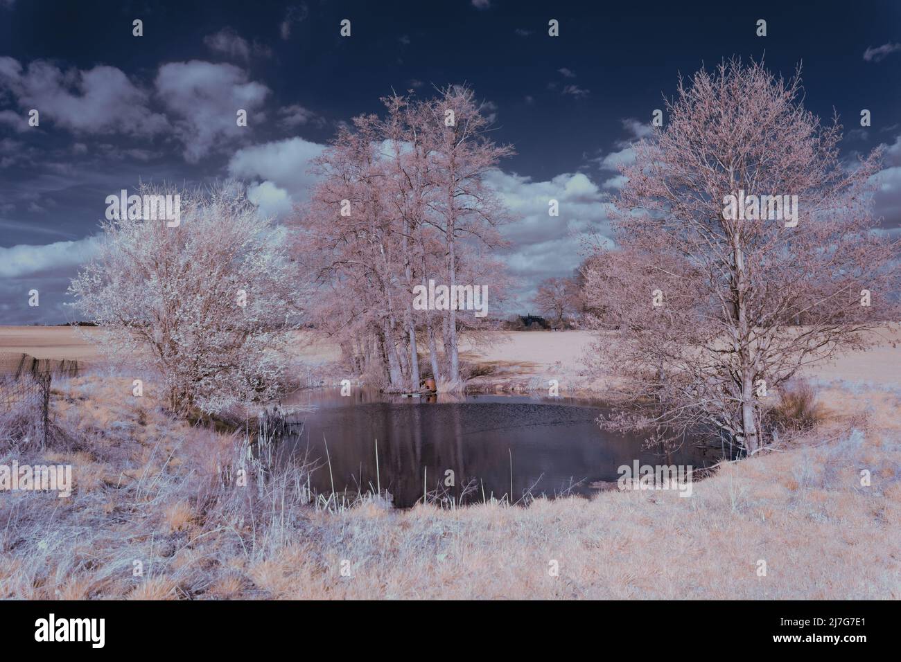 infrared photography - ir photo of landscape under sky with clouds ...