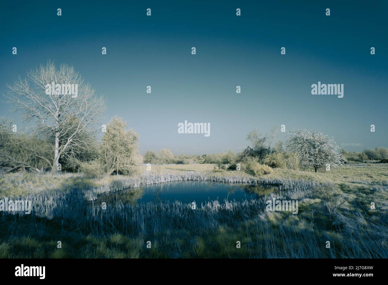 infrared photography - ir photo of landscape under sky with clouds ...