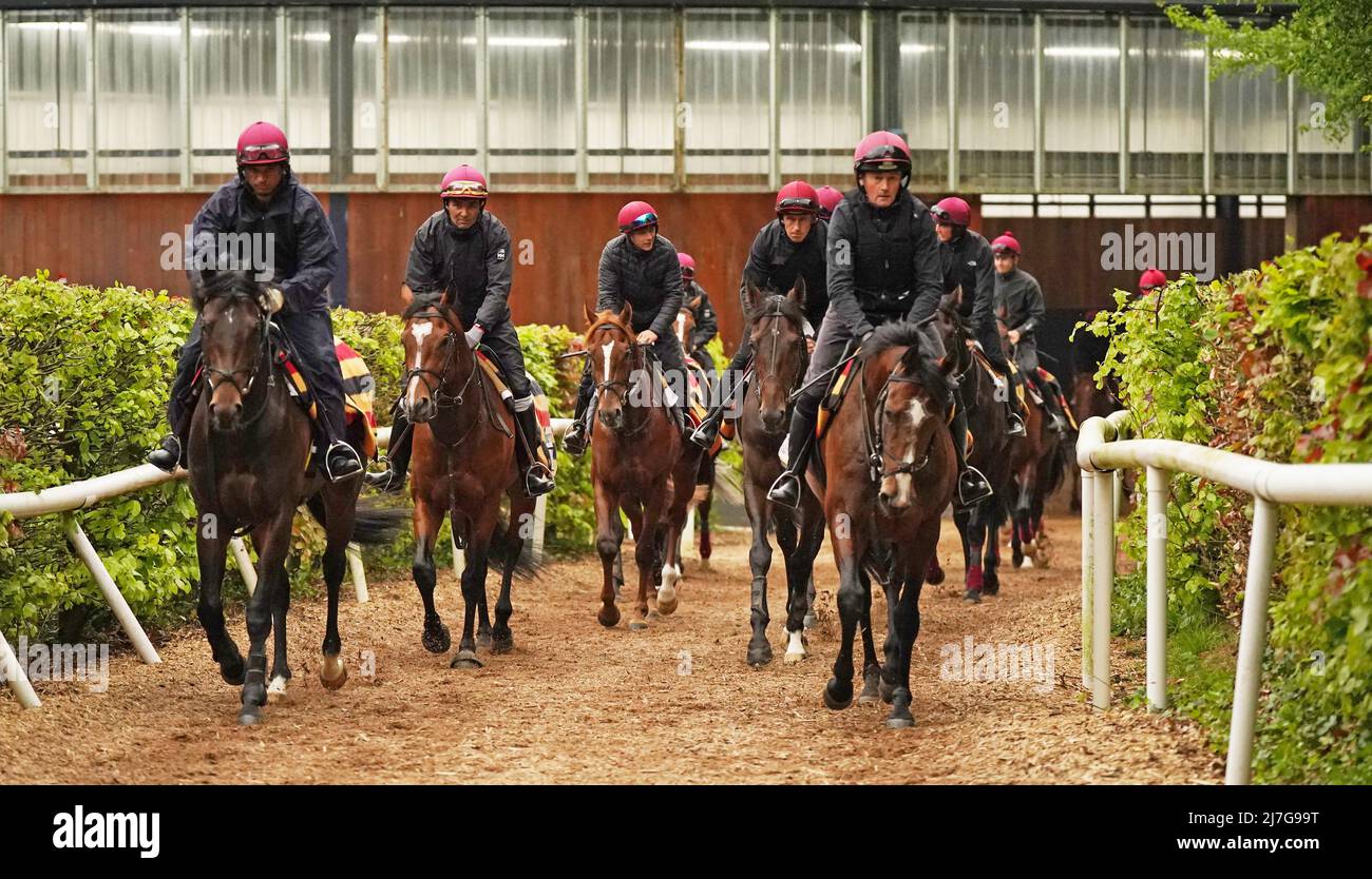Aidan O'Brien trained horses are exercised at Ballydoyle racehorse ...