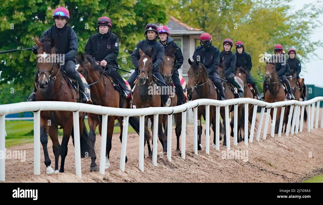 Aidan O'Brien trained horses are exercised at Ballydoyle racehorse ...