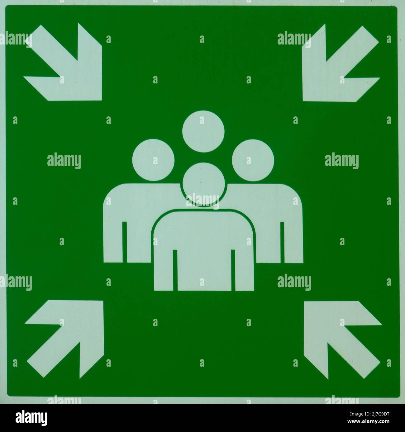 Green and white assembly point sign with tree background, sign is used ...