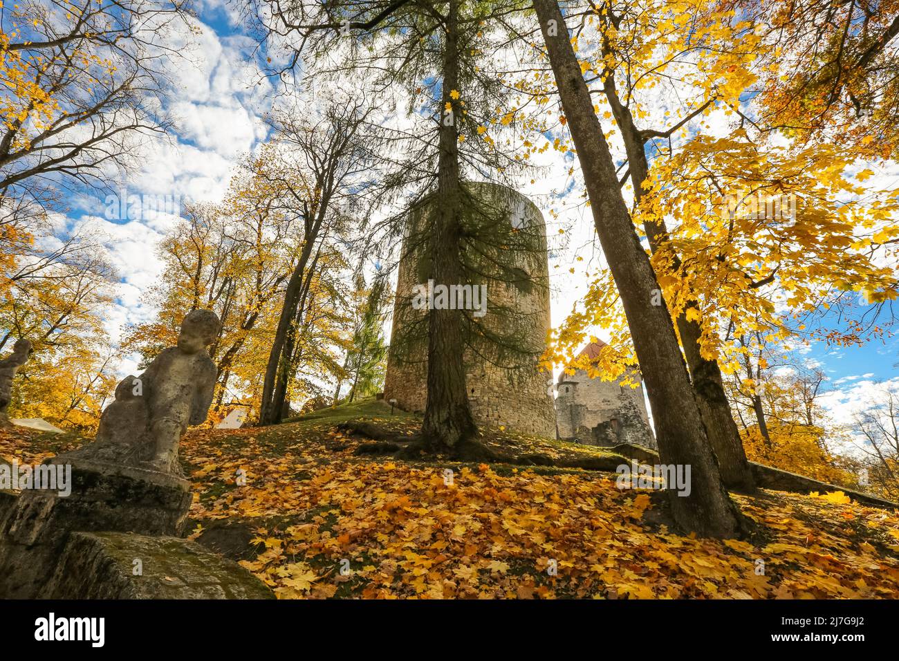 Autumn park and abandoned castle in the latvian town Cesis, which has a ...