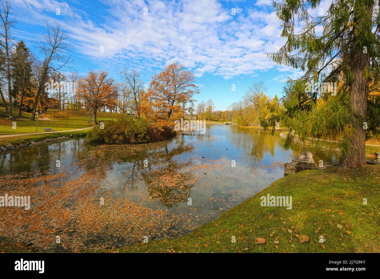Autumn park and abandoned castle in the latvian town Cesis, which has a ...