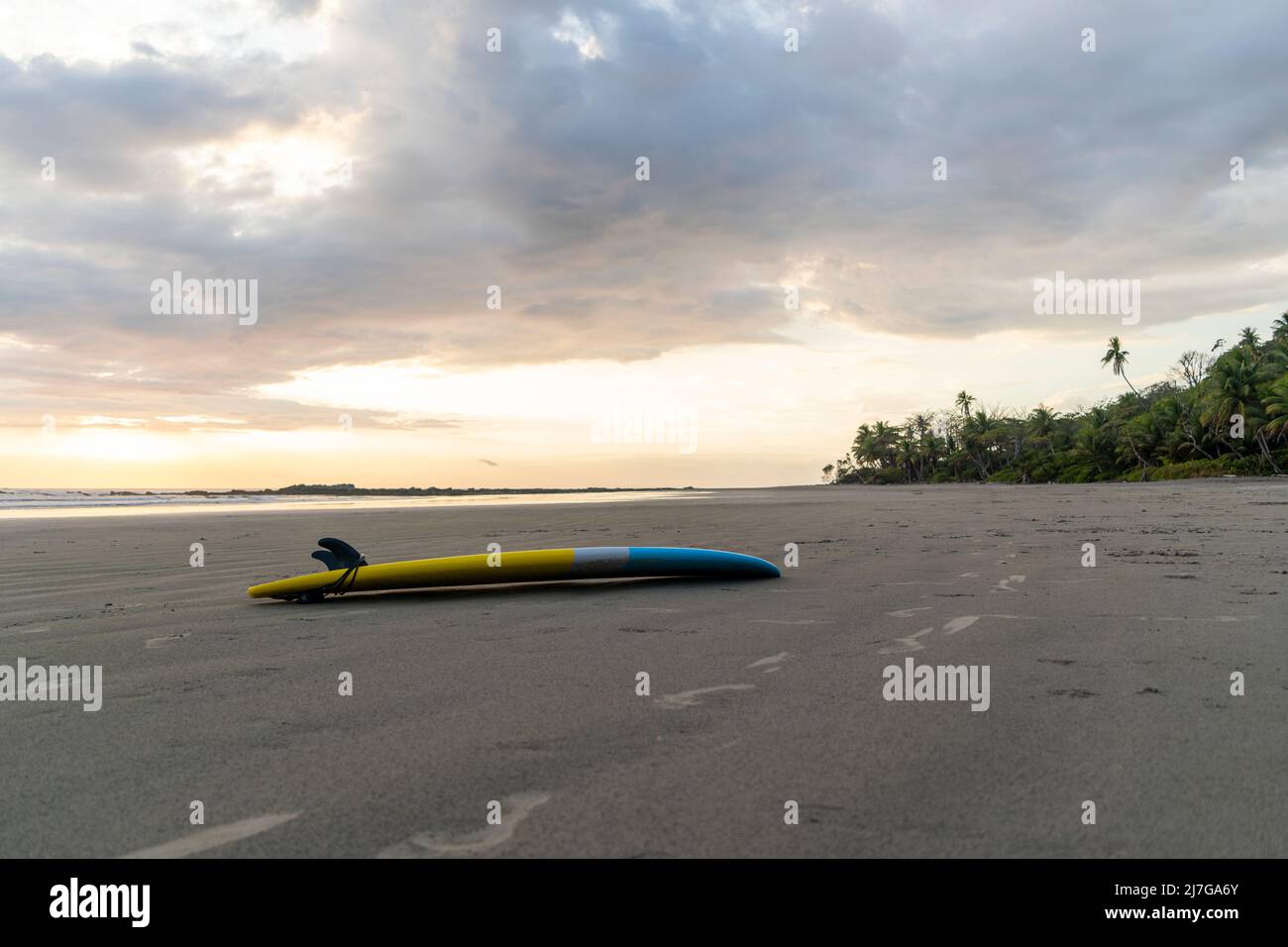 Isolated surfboard on the beach at sunset. Surf board at empty beach ...