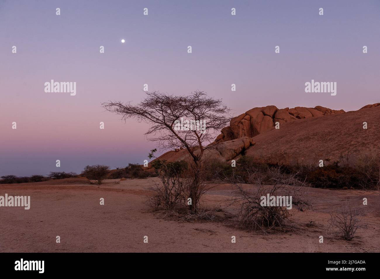 A bright full moon accentuates a red glowing desert and a pink sky ...