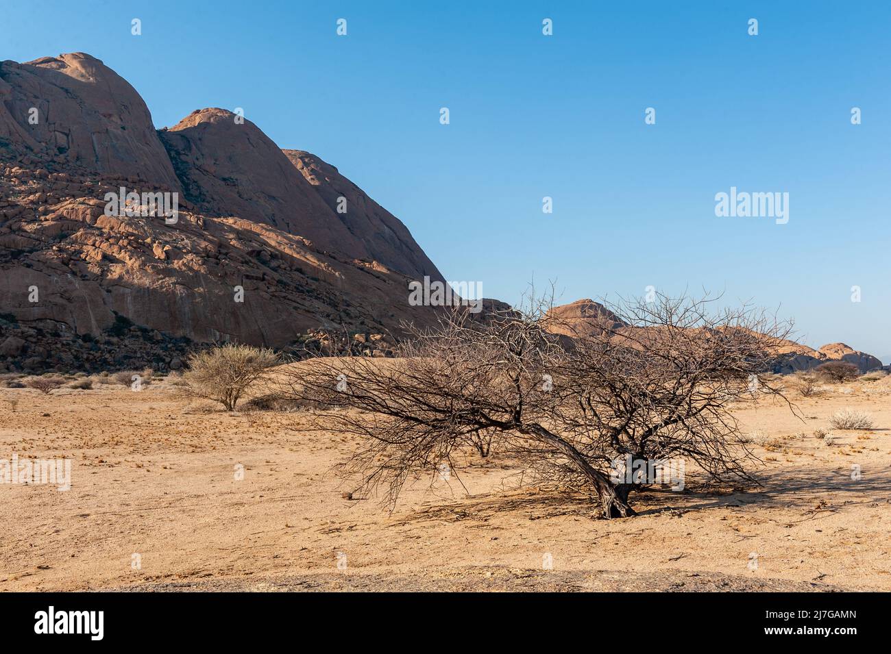 Landscape shot of the Namibian desert near Spitzkoppe, around sunset ...
