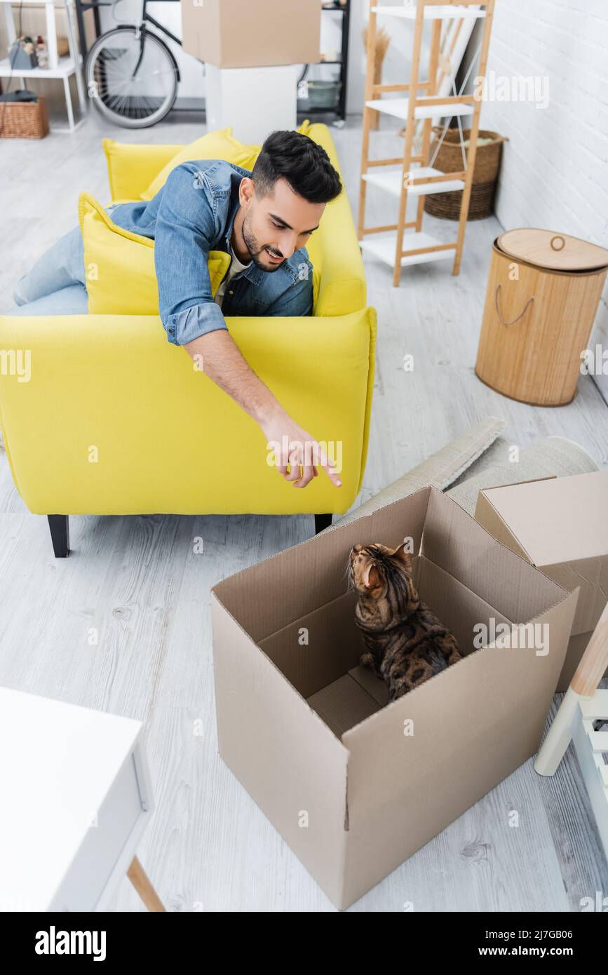Smiling arabian man pointing at bengal cat in carton box at home Stock ...