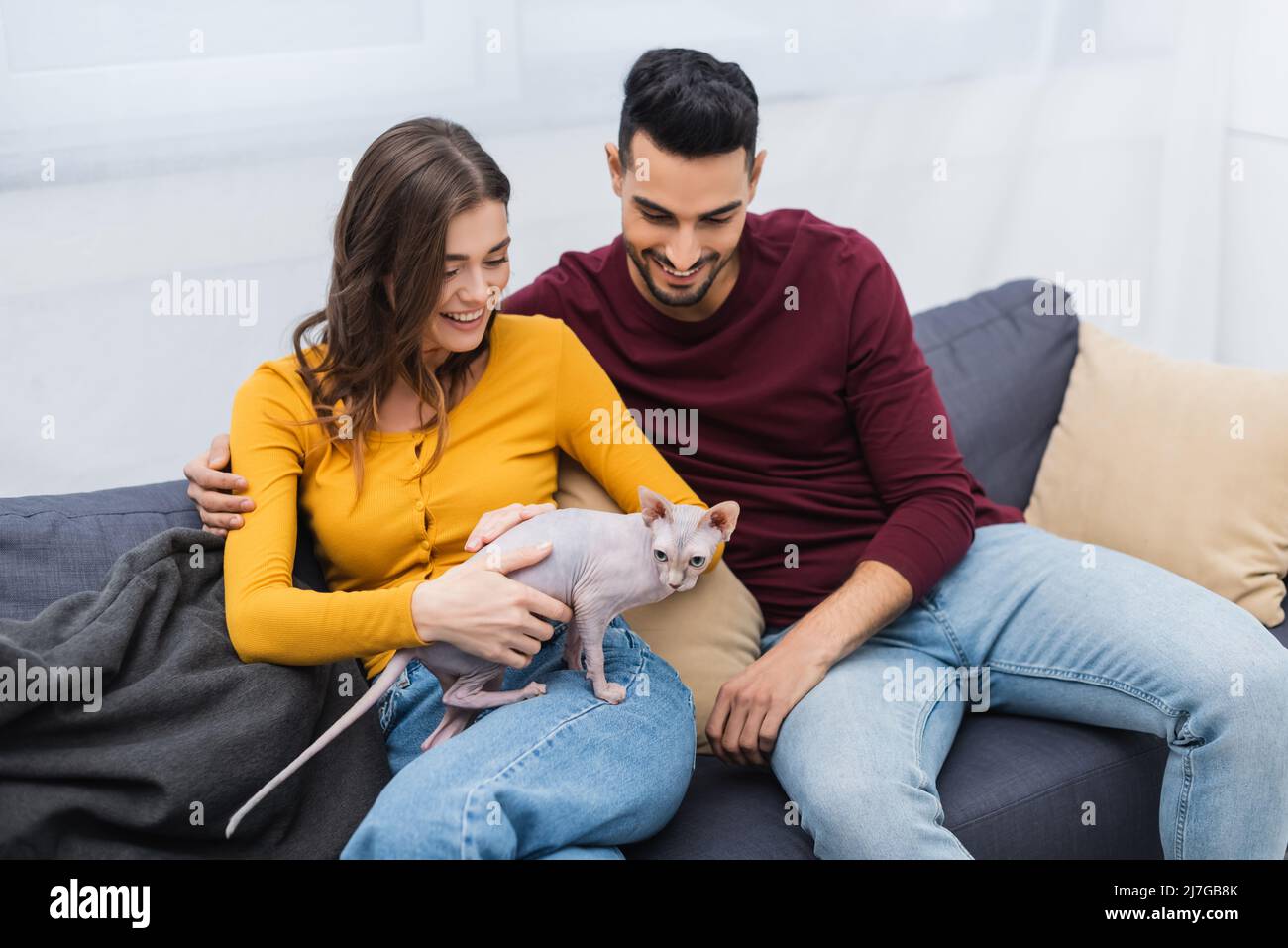 Arabian man hugging smiling girlfriend with sphynx cat at home Stock ...