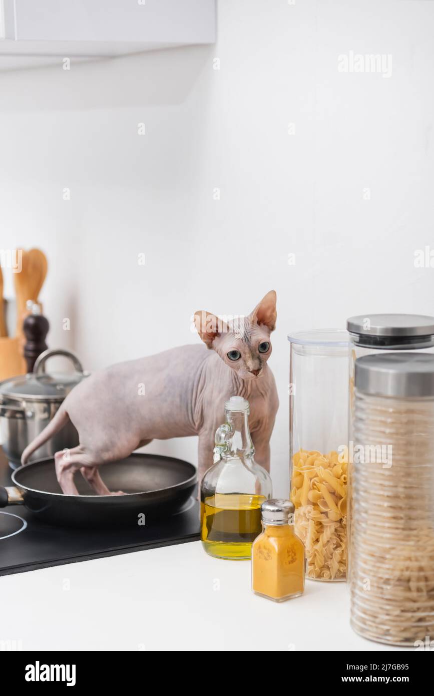 Home kitchen food worktop no people hi-res stock photography and images ...