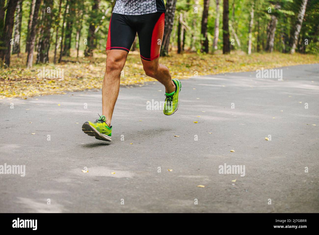 Run up trees hi-res stock photography and images - Alamy