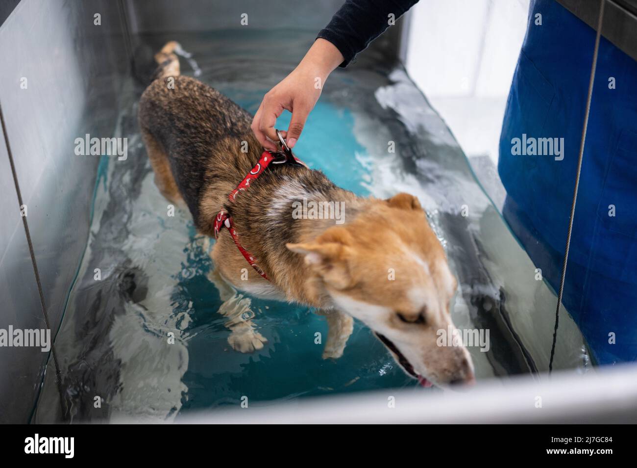 Aquatic therapy hi-res stock photography and images - Alamy