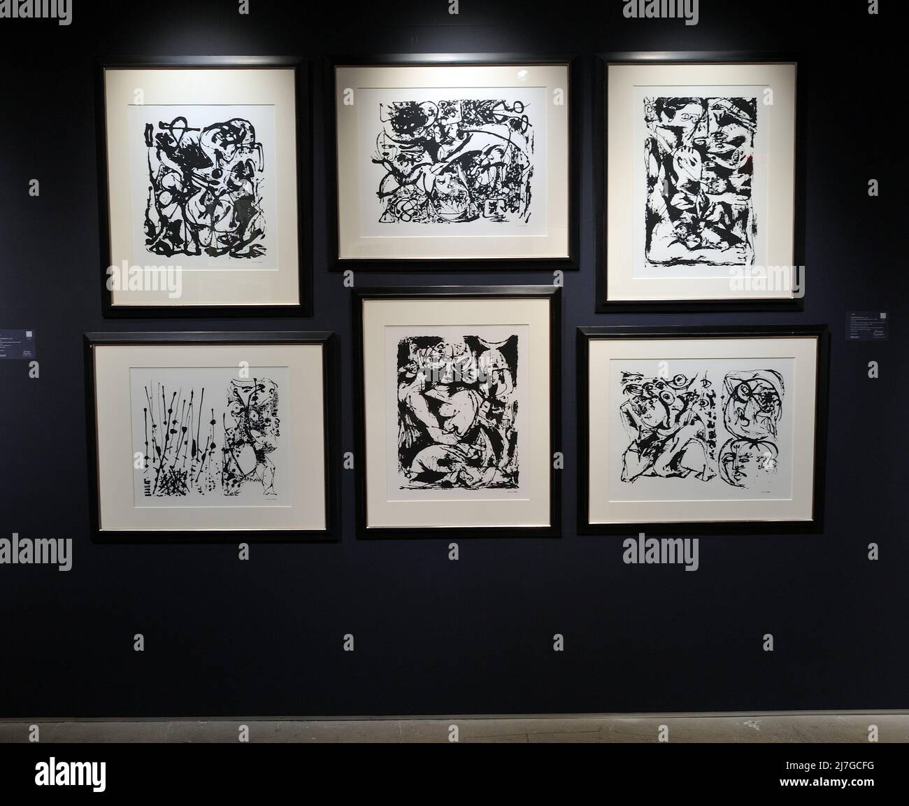 Jackson Pollock Display
