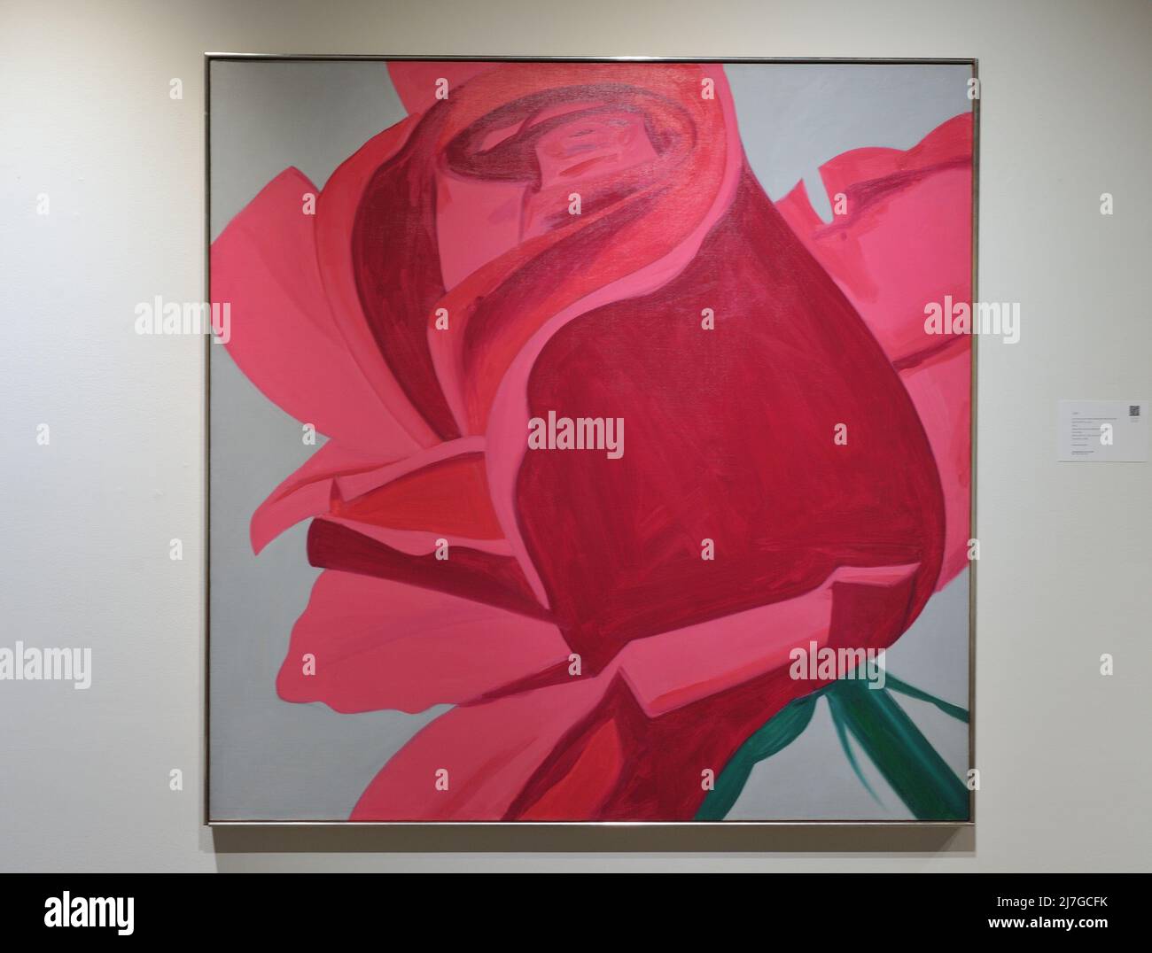 Rose by Alex Katz on display at Sotheby's as part of "The New York ...