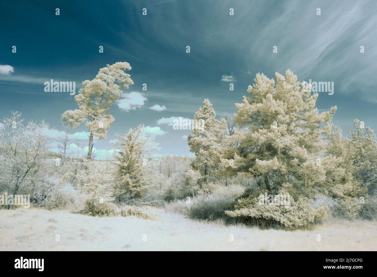 infrared photography - ir photo of landscape under sky with clouds ...