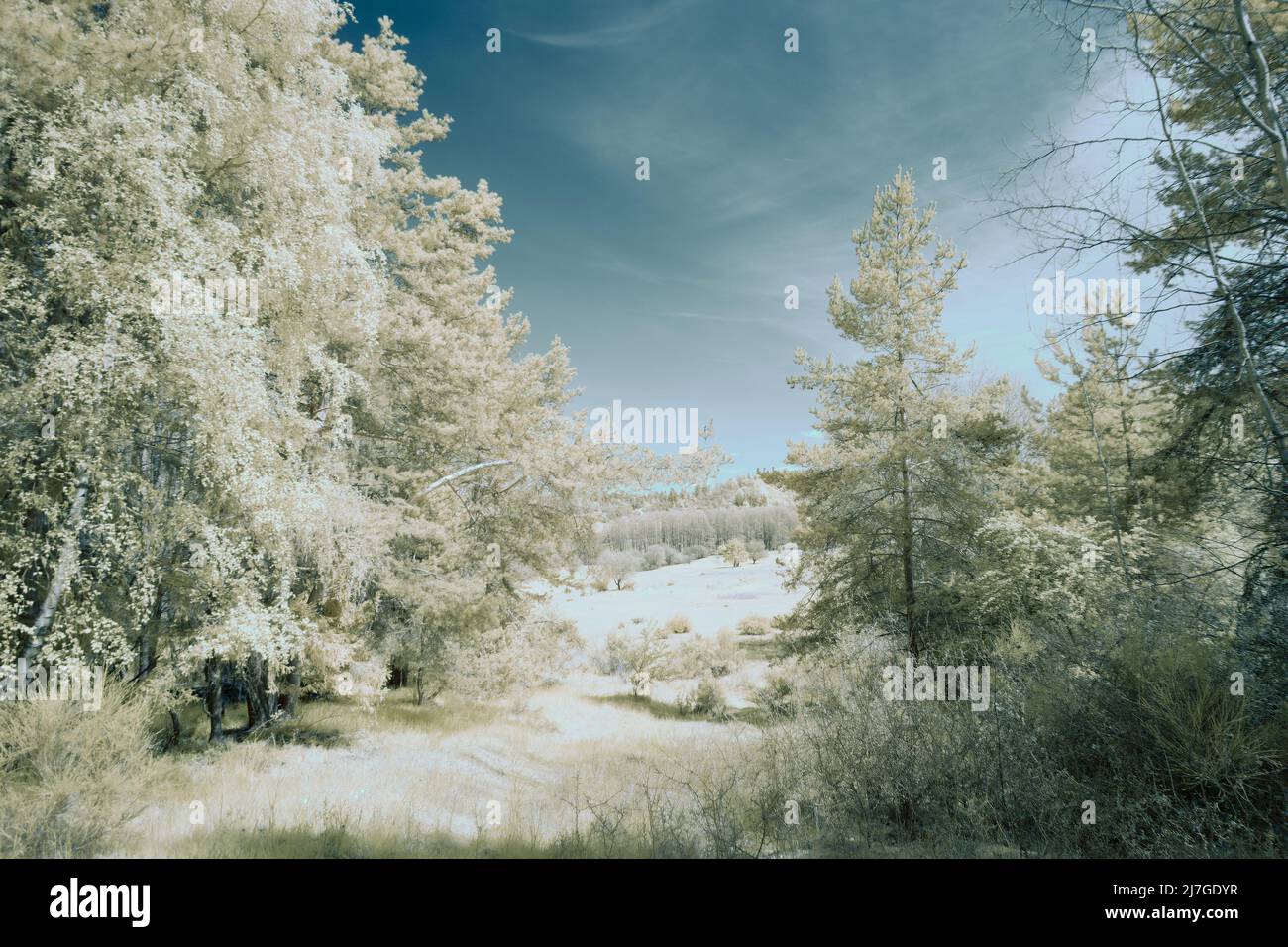 infrared photography - ir photo of landscape under sky with clouds ...