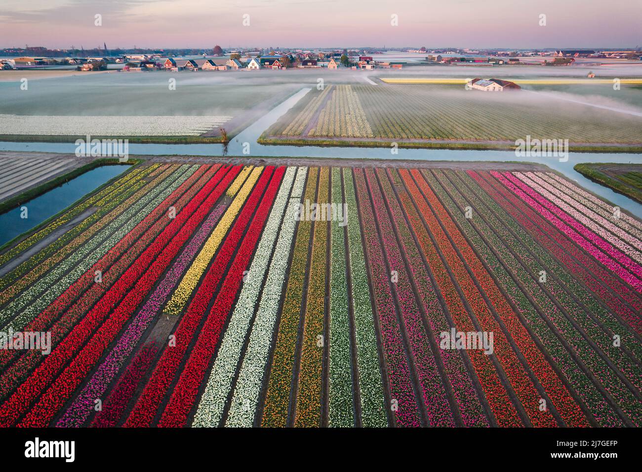 Keukenhof lisse aerial hi-res stock photography and images - Alamy
