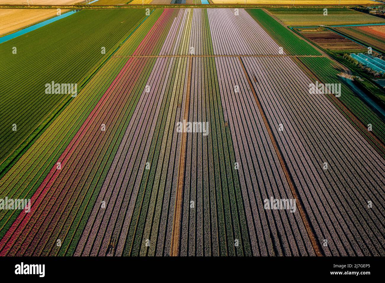 Keukenhof aerial hi-res stock photography and images - Alamy