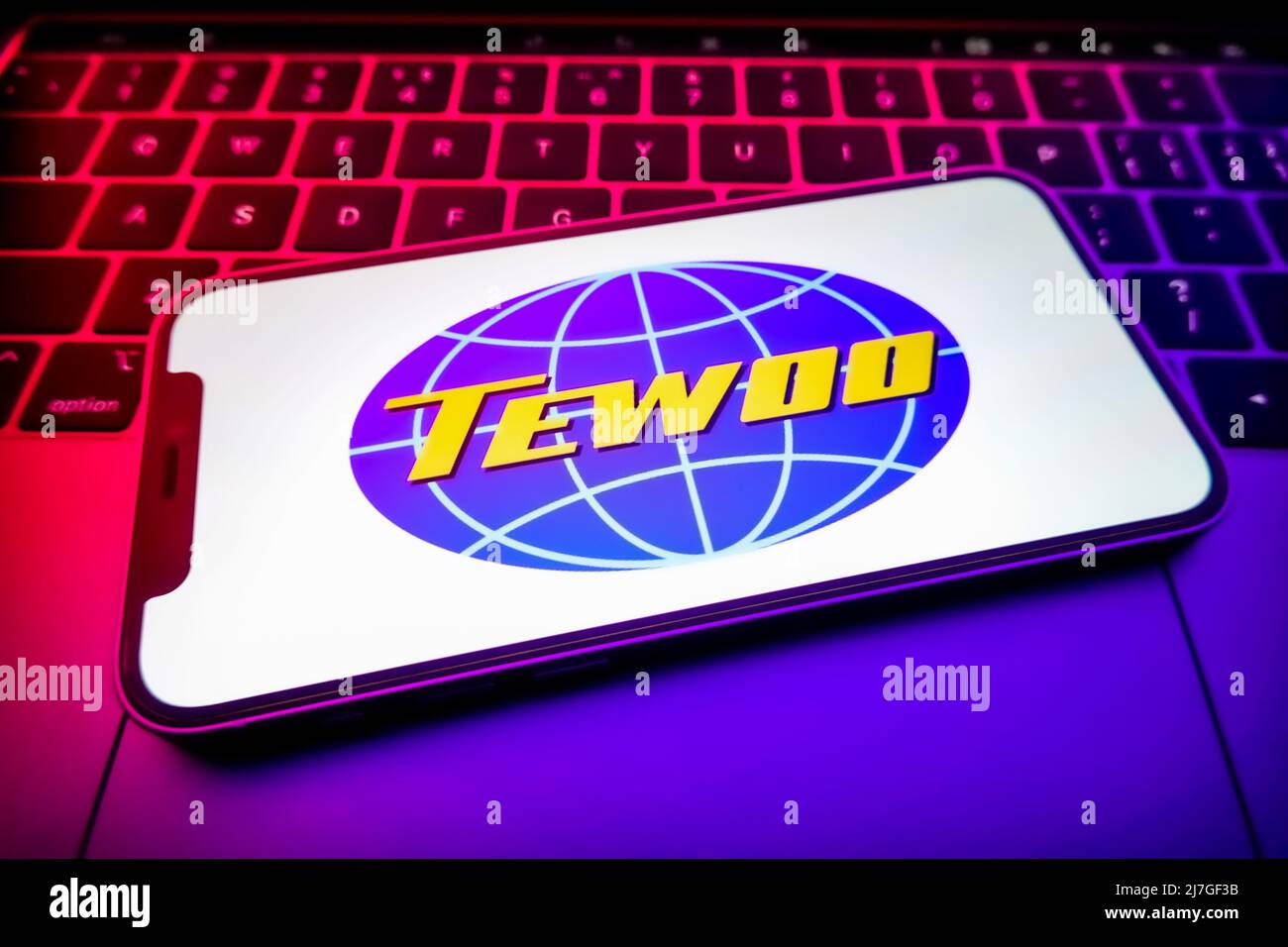 In this photo illustration, a Tewoo Group logo seen displayed on a smartphone screen. (Photo by ...