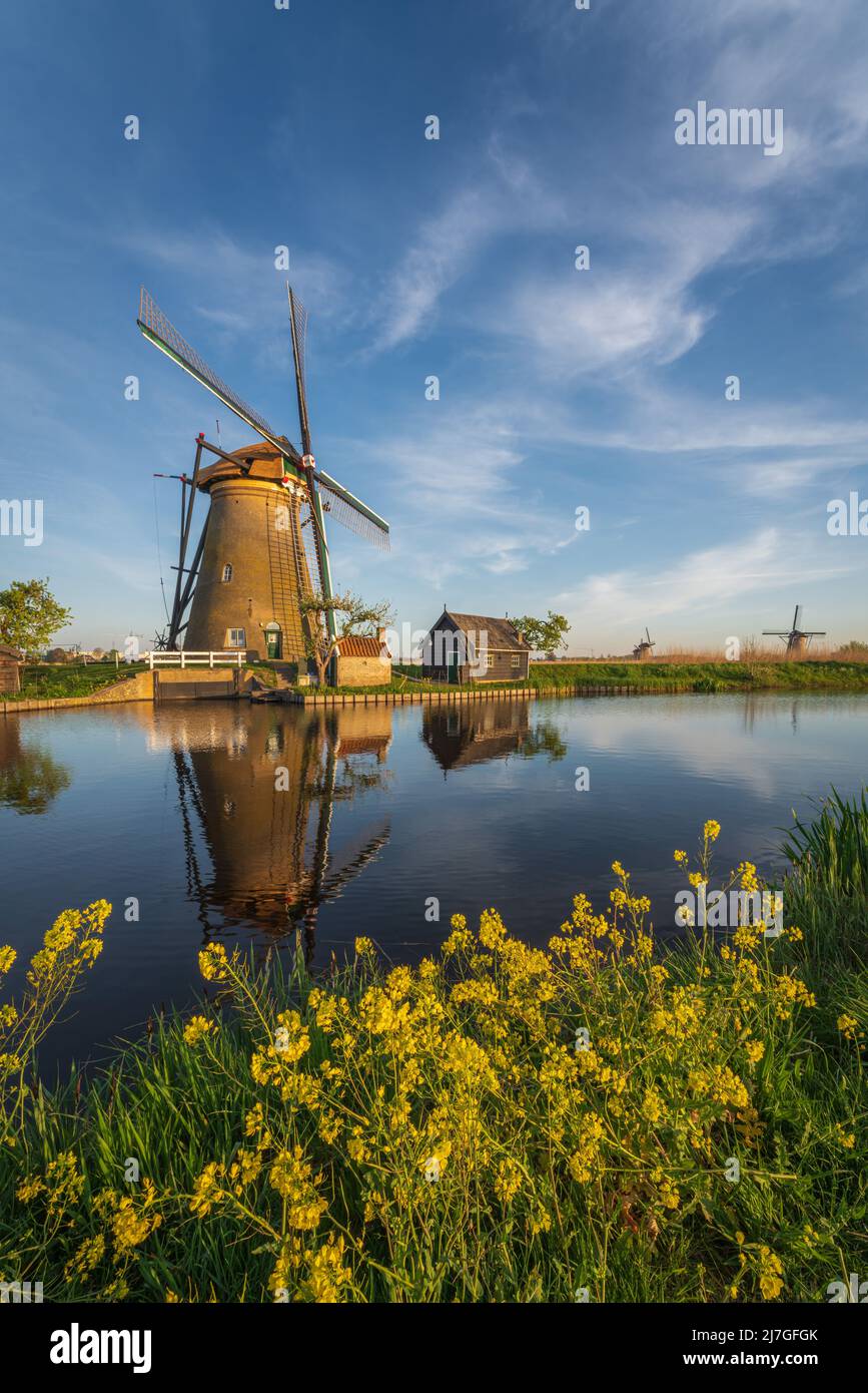 Unesco Werelderfgoed Kinderdijk Molens, Ancient Windmills at dusk in Kinderdijk in Netherlands ...