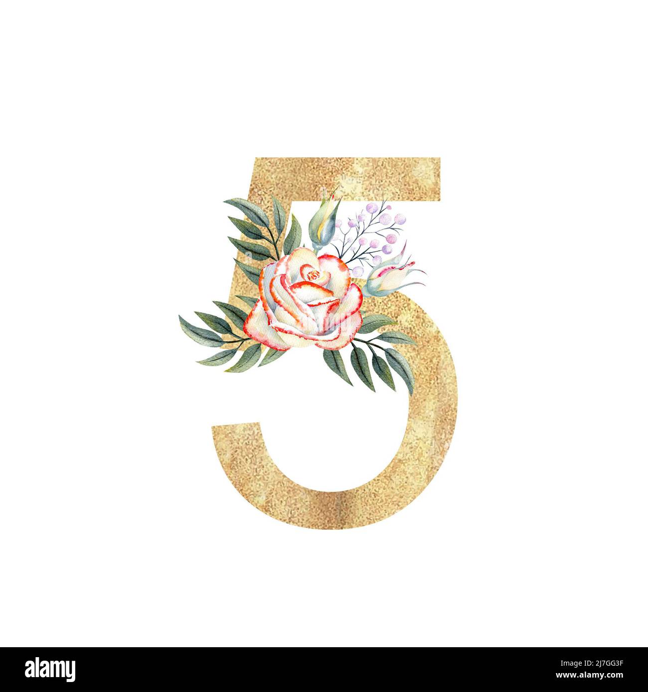 Golden number 5 with a bouquet of pink roses on a white isolated ...