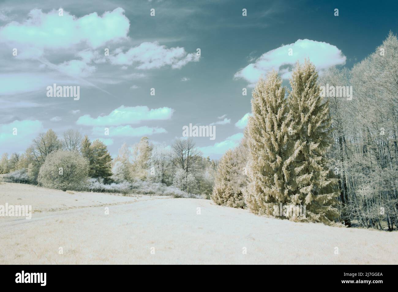 infrared photography - ir photo of landscape under sky with clouds ...