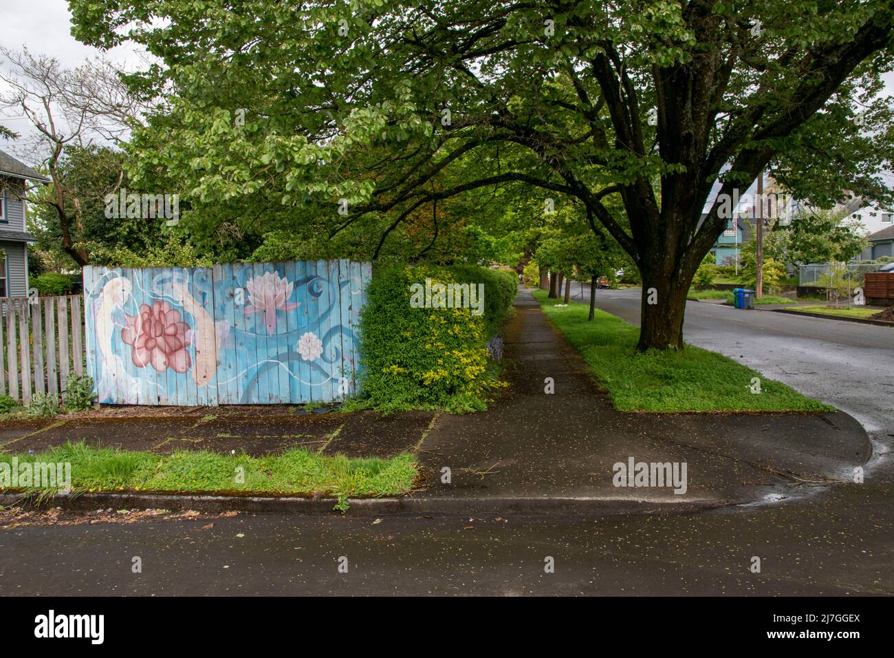 Portland, Oregon is vibrantly colorful in the springtime when there is ...